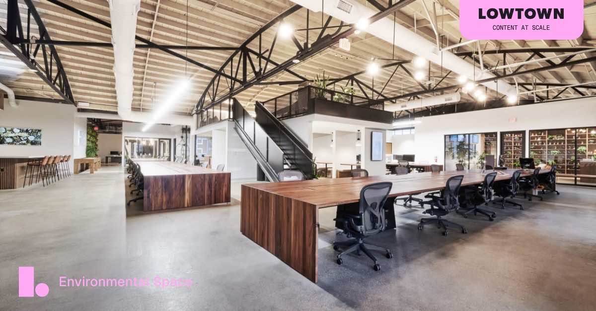 Environmental Space | Lowtown Studios®